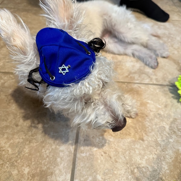 Handmade Hanukkah Pet Hat With Star – Dog Kippah Yarmulke - Etsy