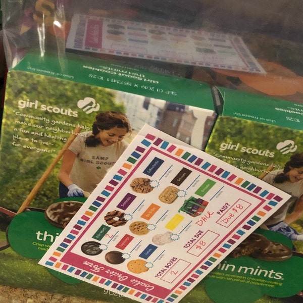 Junior Badge Voting | Girl Scouts | Troop Leader | GS | Girl Led ...