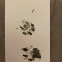 No-touch Inkless Baby Hand and Footprint Kit Painless Perfect Prints ...