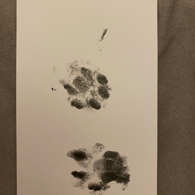 No-touch Inkless Baby Hand and Footprint Kit Painless Perfect Prints ...