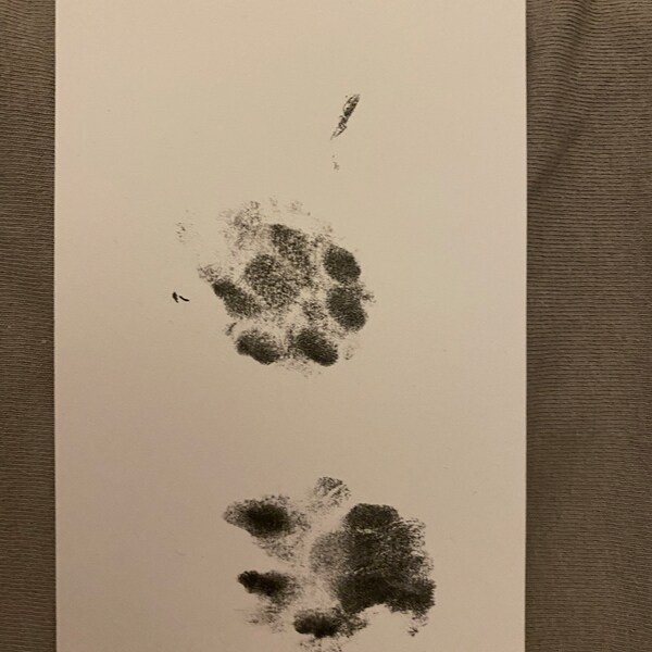 No-touch Inkless Baby Hand and Footprint Kit | Painless Perfect Prints ...