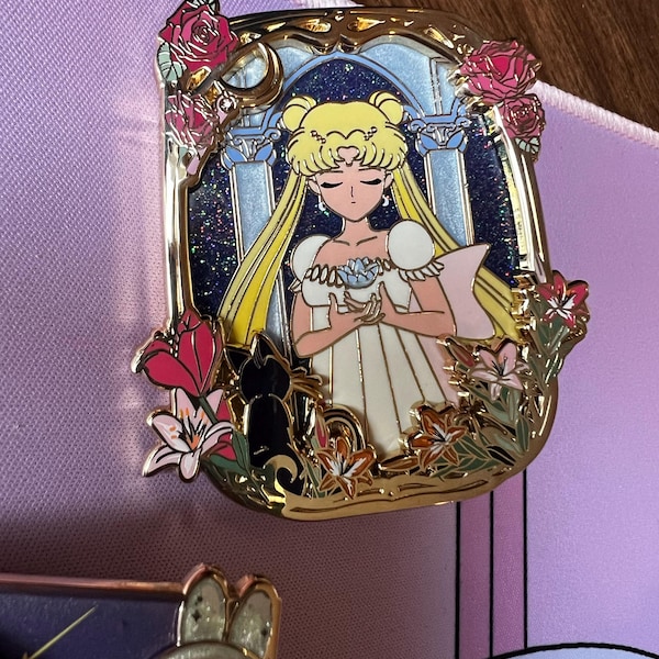 Cinderella Character Frame Fantasy Pin LE 50 - Etsy