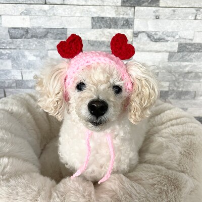 Heart Headband for Cats, Valentine's Day Cat Accessories, Cat Photo ...