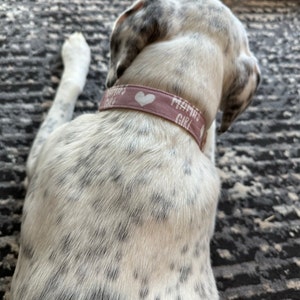 Dog Collar/fresh Out of Fus Dog Collar/ Flower Dog Collar/ Cussing Dog ...