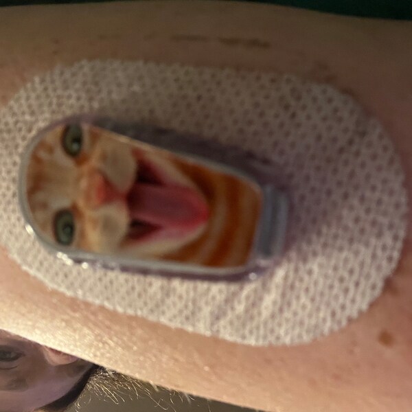 Dexcom G6 Transmitter Stickers 10 Pack Smiling Cat Dexcom Transmitter ...