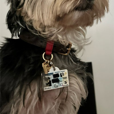 Texas Driver Dog Id Tag Personalized License, Durable Dog Tag, Double ...