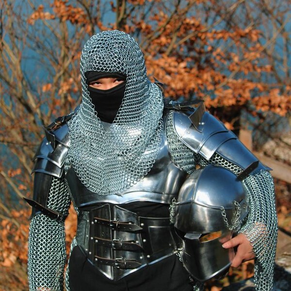 22 Inch Medieval Loin King Face Shield/battleworn Lion Shield/premium ...