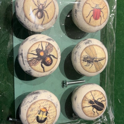 Insect Handles set of 6 Bug Handles Decoupaged Drawer Handles Drawer ...