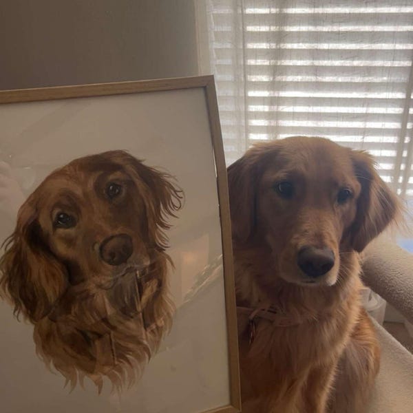 Hand-painted Portrait of a Pet. Pet Portrait Painting. Custom Dog ...
