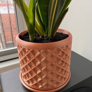 The Estrella Planter in Dark Green Drainage Hole and Tray - Etsy
