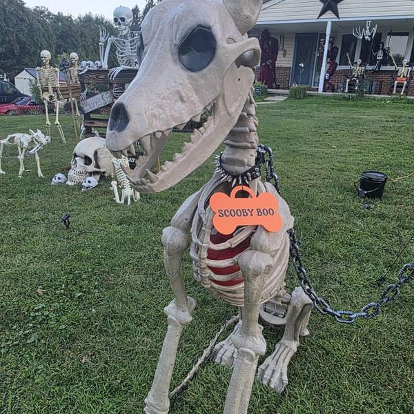 Articulating Spinosaurus Skelly Custom 3D Printed With Fish and ...