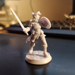 Masked Fighter Female Galaad Miniatures Fantasy Dungeons - Etsy