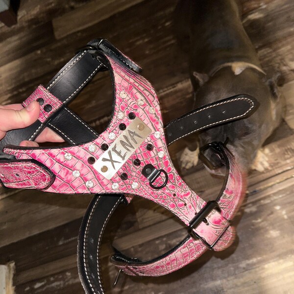 Leather Dog Collar, Personalized Name Plate, Bucket Studded Leather Dog ...