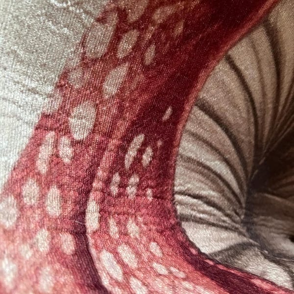 Pink Checkered Rug Coquette Room Decor Pink Birthday Gift for Her Room ...