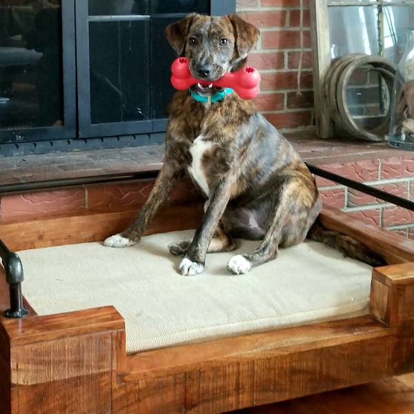 Clean Dirty Dishwasher Magnet, Dog Design - Washed Clean, Licked Clean ...