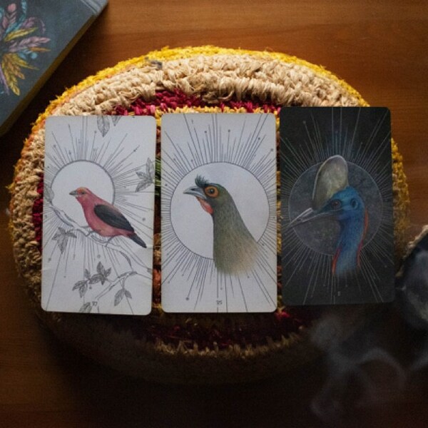 Birds Oracle Deck 2 WITH Additional Box - Etsy