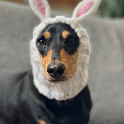 Bunny Rabbit Dog Snood Knit Crochet Dog Hat Easter Dog Costume Ear ...