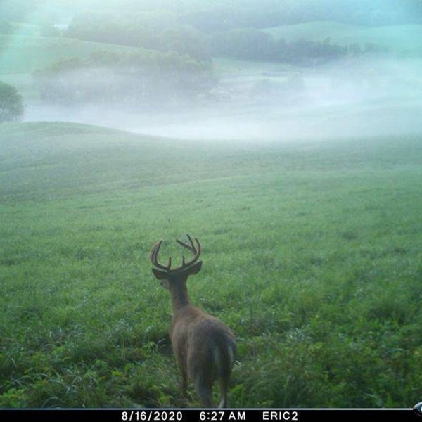 5 Card Reading Goetic Demon Identification Which Demon Wants to Work ...