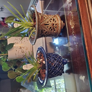 Furan Orchid Pot Fu Ran Pot Neofinetia Pot Fukiran Furan Pot Dendrobium ...