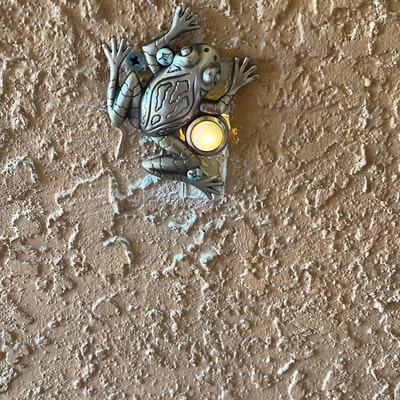 Frog Doorbell in Bronze - Etsy