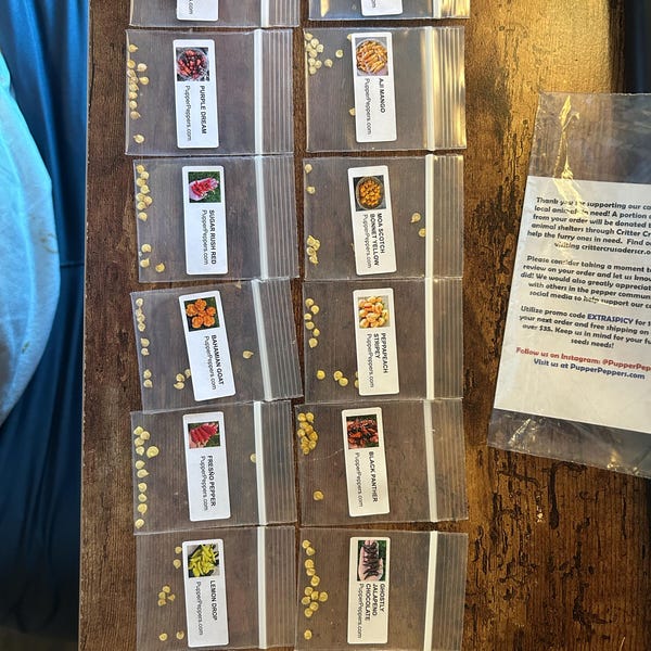 Purple Peach Carolina Reaper Rare Pepper Seeds Premium Packet - Etsy