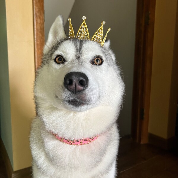 Princess Dog Crown, Elegant Pet Costume - Etsy