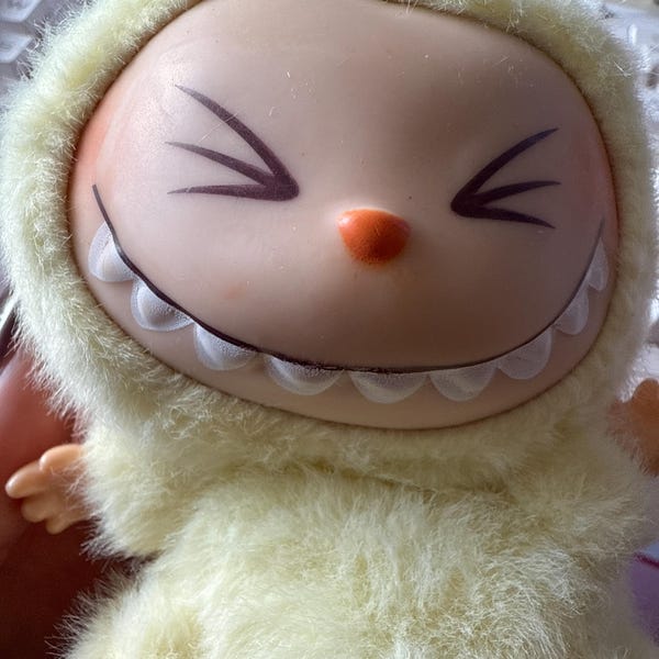 Ladybug in a Wooden Box Cute Wiggle Leg “I Love You” Valentine ...