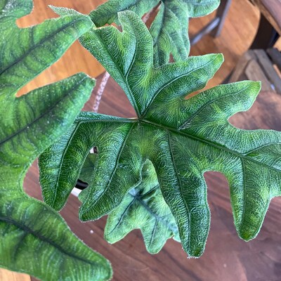 ABG Mix 1 Gallon - Etsy