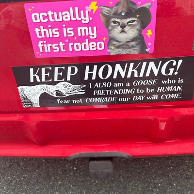 Keep Honking Goose Espionage Bumper Sticker - Etsy
