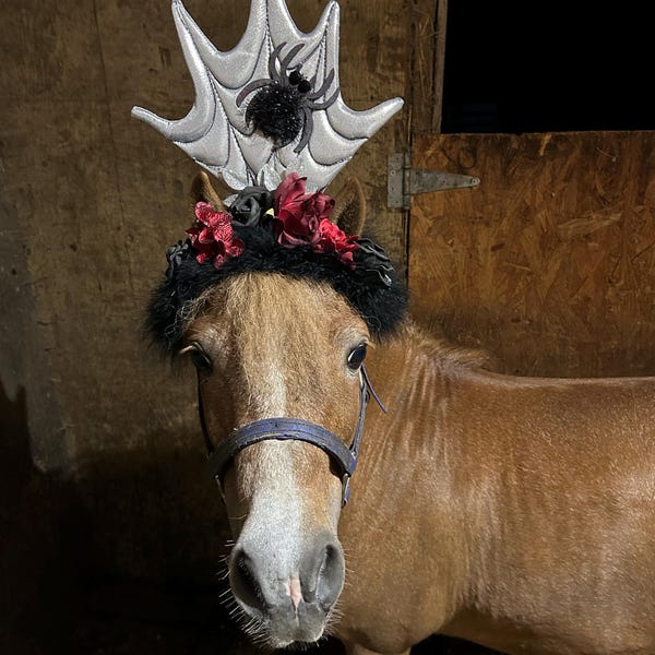 Retro Christmas Rodeo - Fancy Christmas Cowboy Set With Hat, Fringed ...