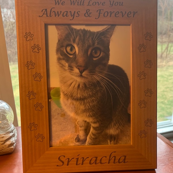 Cat Memorial Frame, Pet Loss Gifts, Cat Picture Frame, Picture Frames ...