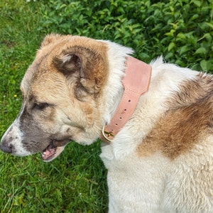 Biothane Dog Harness Service Dog Harness Accessories for - Etsy