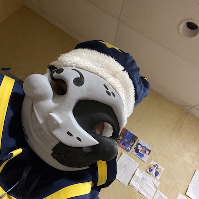 Over the Garden Wall Wirt Cosplay Cape - Etsy