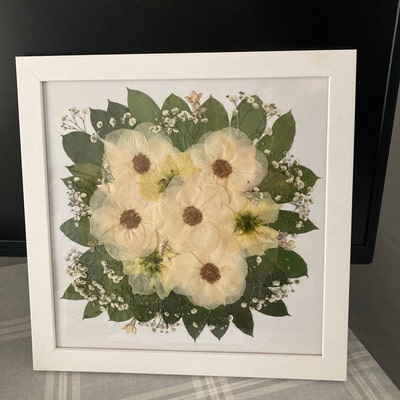 Pressed Tulip Flower Frame Real Tulip Artwork. - Etsy