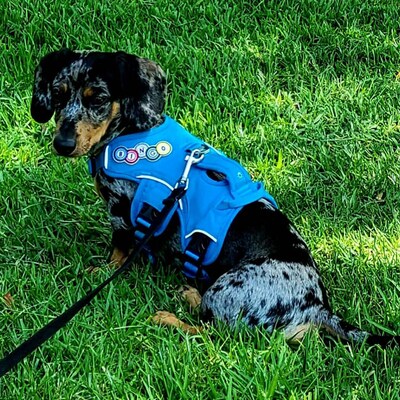 Jason Name Tag Iron on Patch 3 INCH for Uniform Work Shirt - Etsy