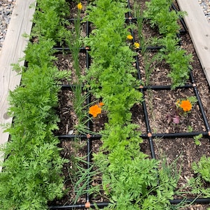 1x7 Garden Grid™ watering system Garden Irrigation System | Etsy