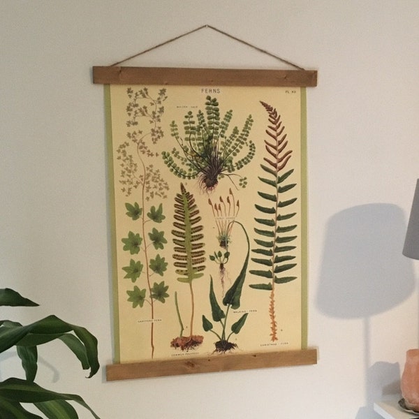 Ferns Print | Ferns Poster | Ferns Wall Art | Botanical Print Vintage ...