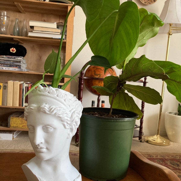 Artemis / Diana Goddess Planter/ Base / Pot for Plants / Succulents ...