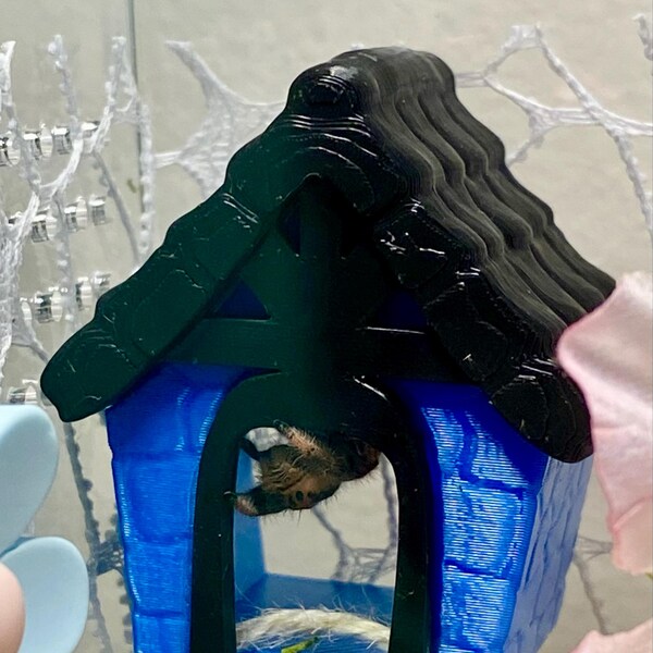 3D Printed Magnetic Cottage Home With Ladder Jumping Spider Hide Small ...