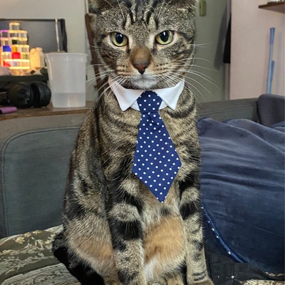 Red Chevron Skinny Cat Tie Cat Necktie Cat Necktie Collar - Etsy Canada