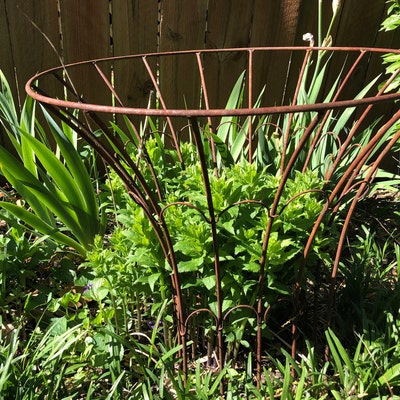 Wrought Iron 25 Cone Topiary Flower Trellis, Metal Plant Climber ...