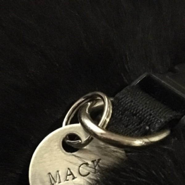 Custom Dog Tag - Aluminum Hand Stamped Personalized Pet ID Charm ...