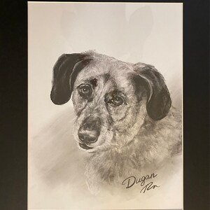 Custom Pet Portrait Charcoal Custom Dog Portrait Pet - Etsy