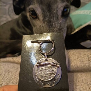 Customised thunder Bolt Pet ID Tag/dog ID Tag/dog Tag/cat ID Tag - Etsy