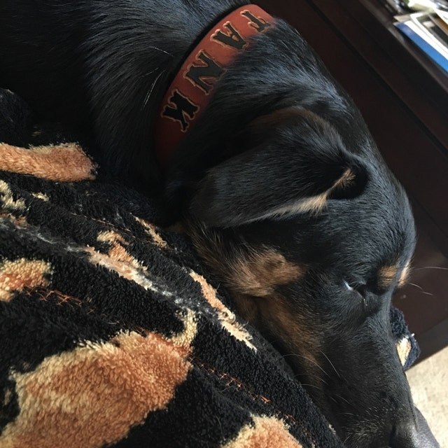 DEBRA loved their purchase from PitkaLeather