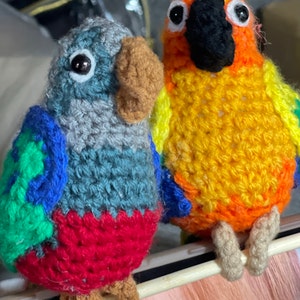 Parakeet Crochet Pattern - Etsy