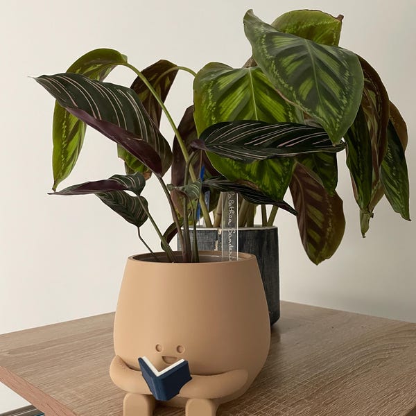 Happy Plant Pot Valentine Gift for Her Gift for Him Valentine's Day ...