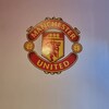 Manchester United Football Club Crest Bonus Wall Sticker Set - Etsy UK