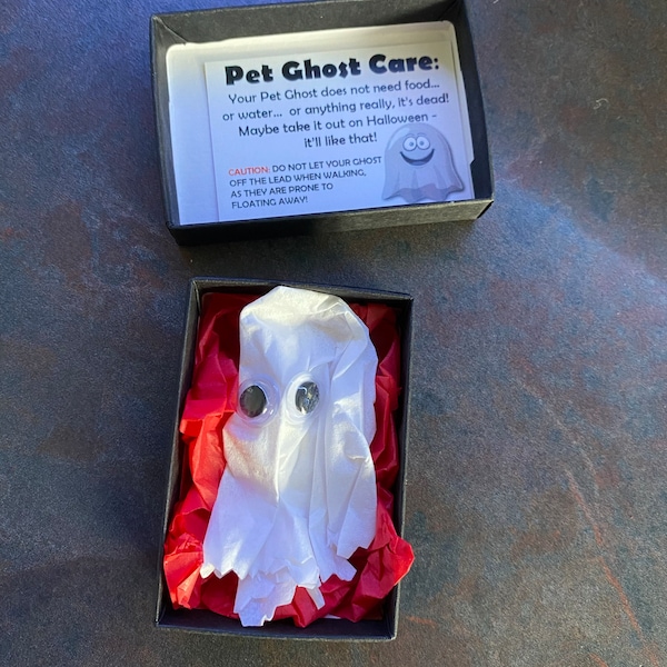 Pet Ghost - Funny Novelty Gift Ideas - Ideal for Birthday Presents ...