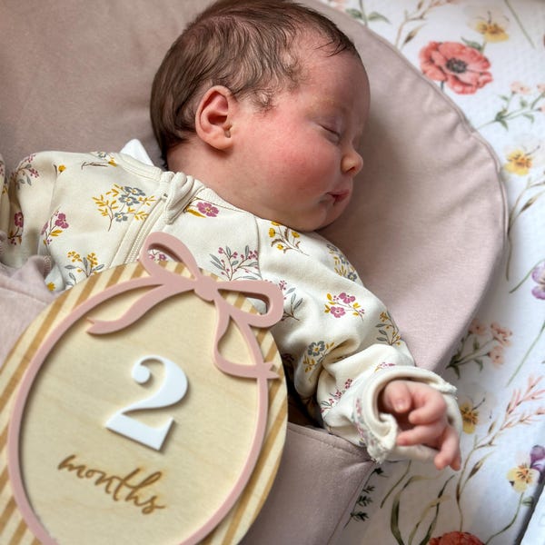 Baby Girl Monthly Milestone Pink Bow Baby Girl Milestone Marker Girl ...